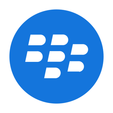 Blackberry Icon Png